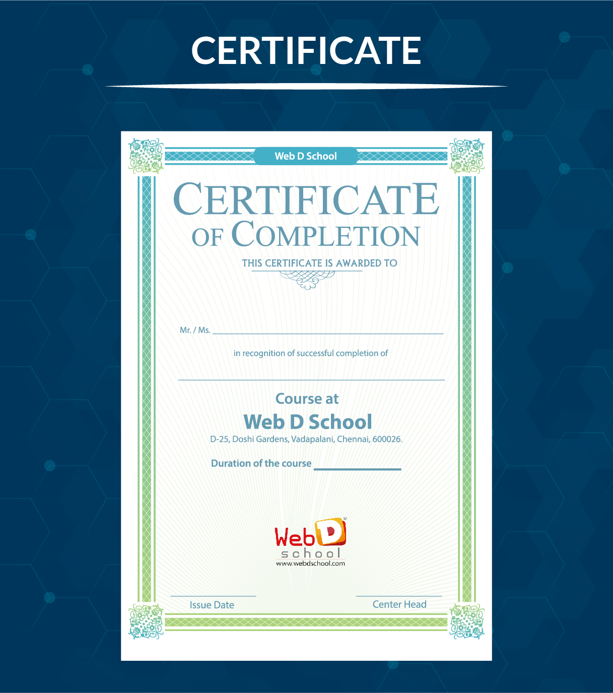 WebD School | Learn Online